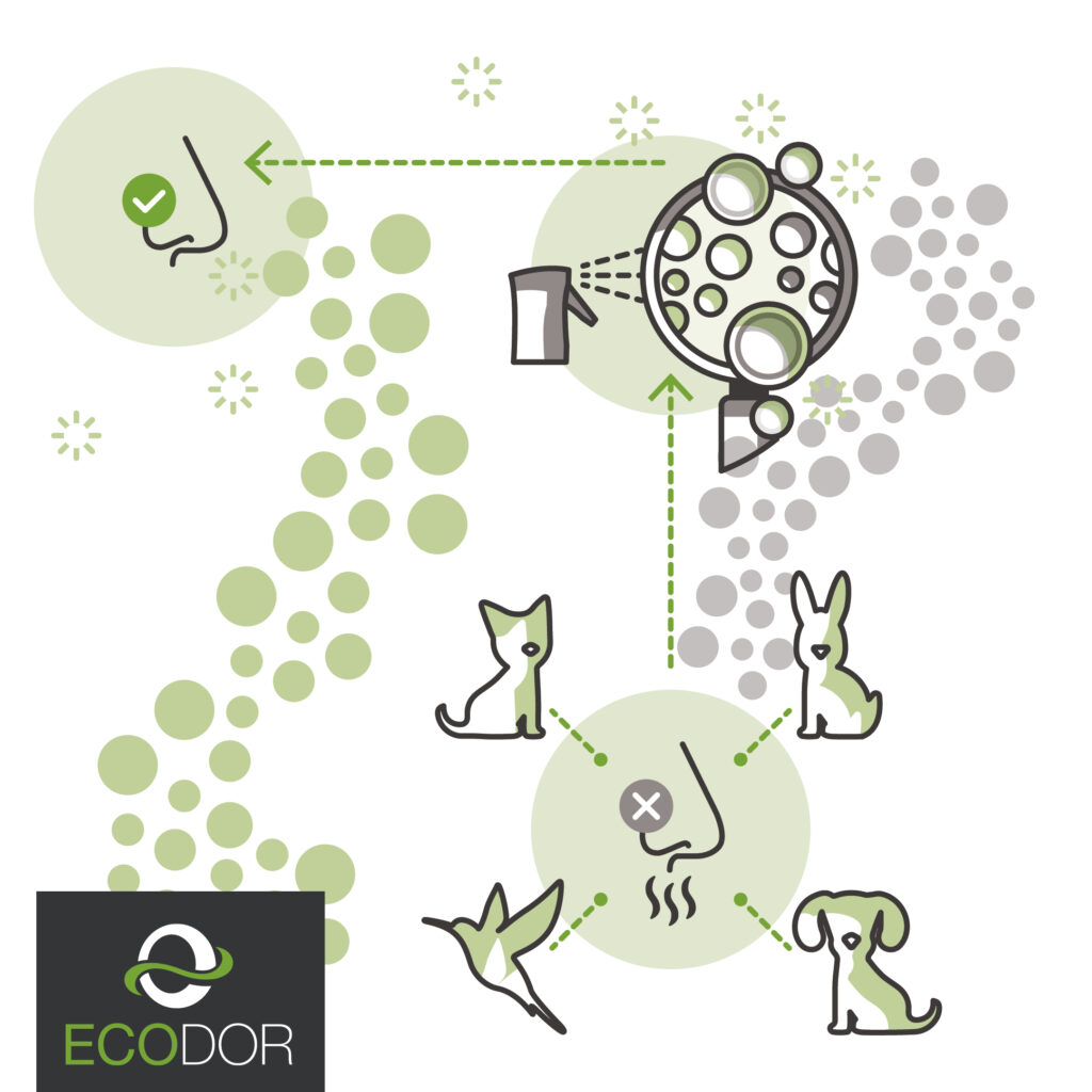 Ecodor Geur en Vlekweg - 1 liter - Ecodor